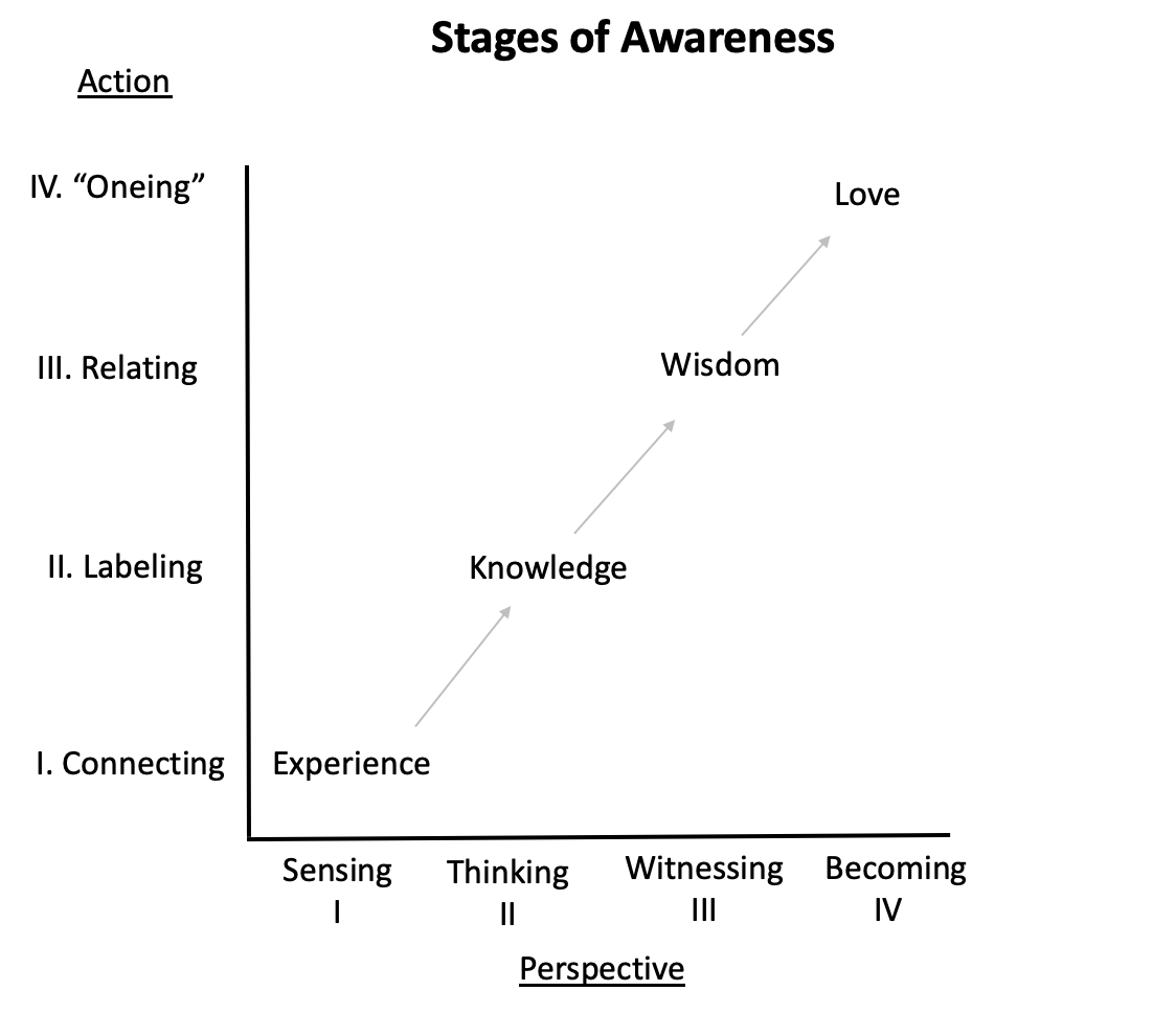 The Anatomy of Peace- Conclusion (6-minute read) – Towards A Life Well ...